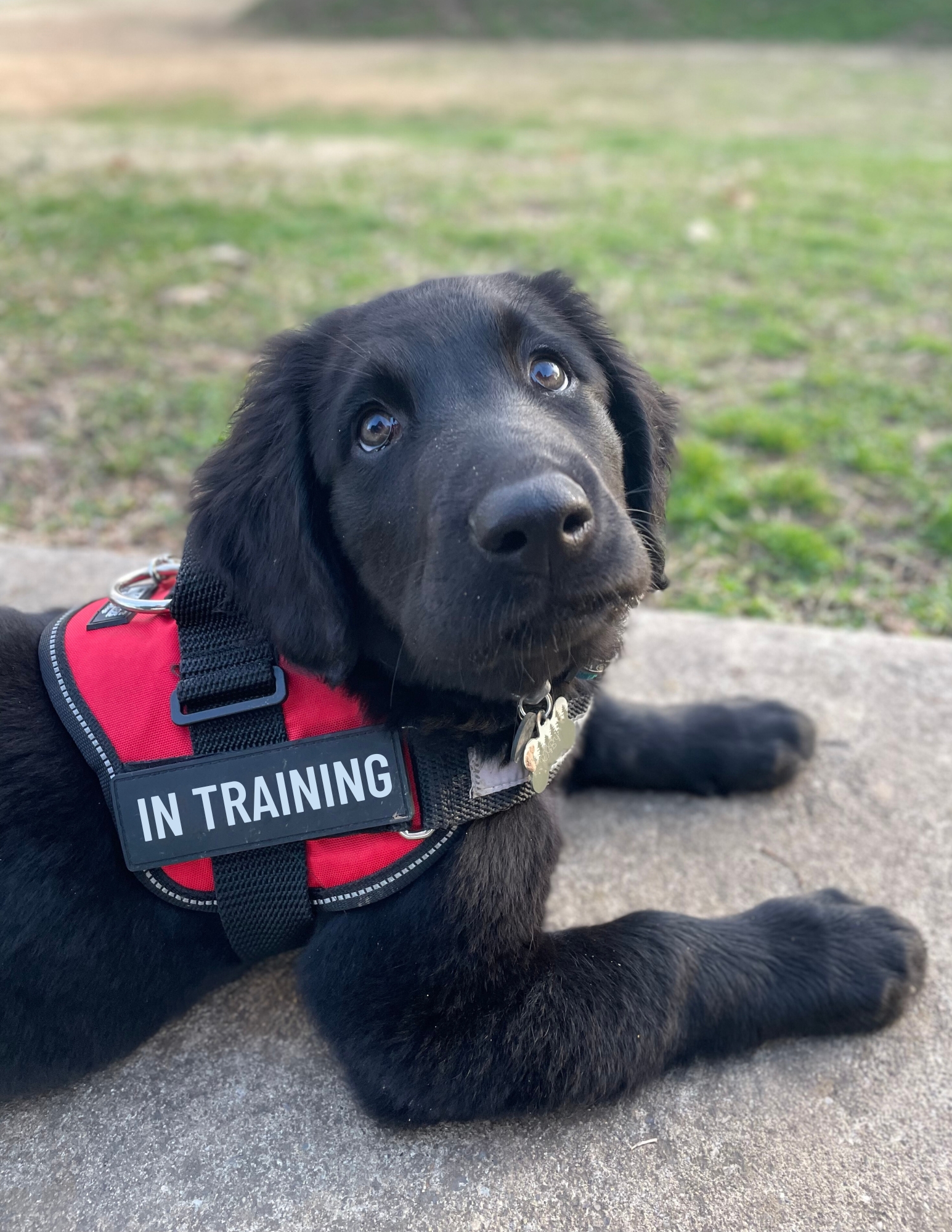 Complete Programs – Greensburg Bed & Biscuit